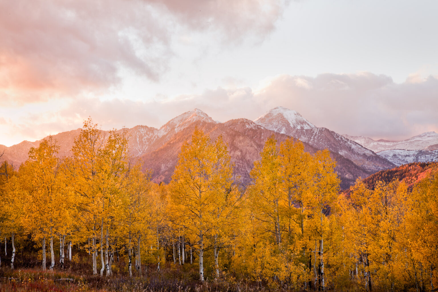 Boutique Park City Luxury Hotel, Utah | Pendry Park City