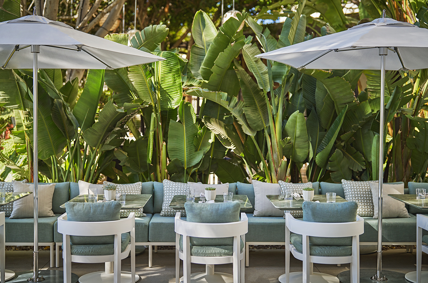 Tree Shack Pool Bar & Grill | Pendry Newport Beach