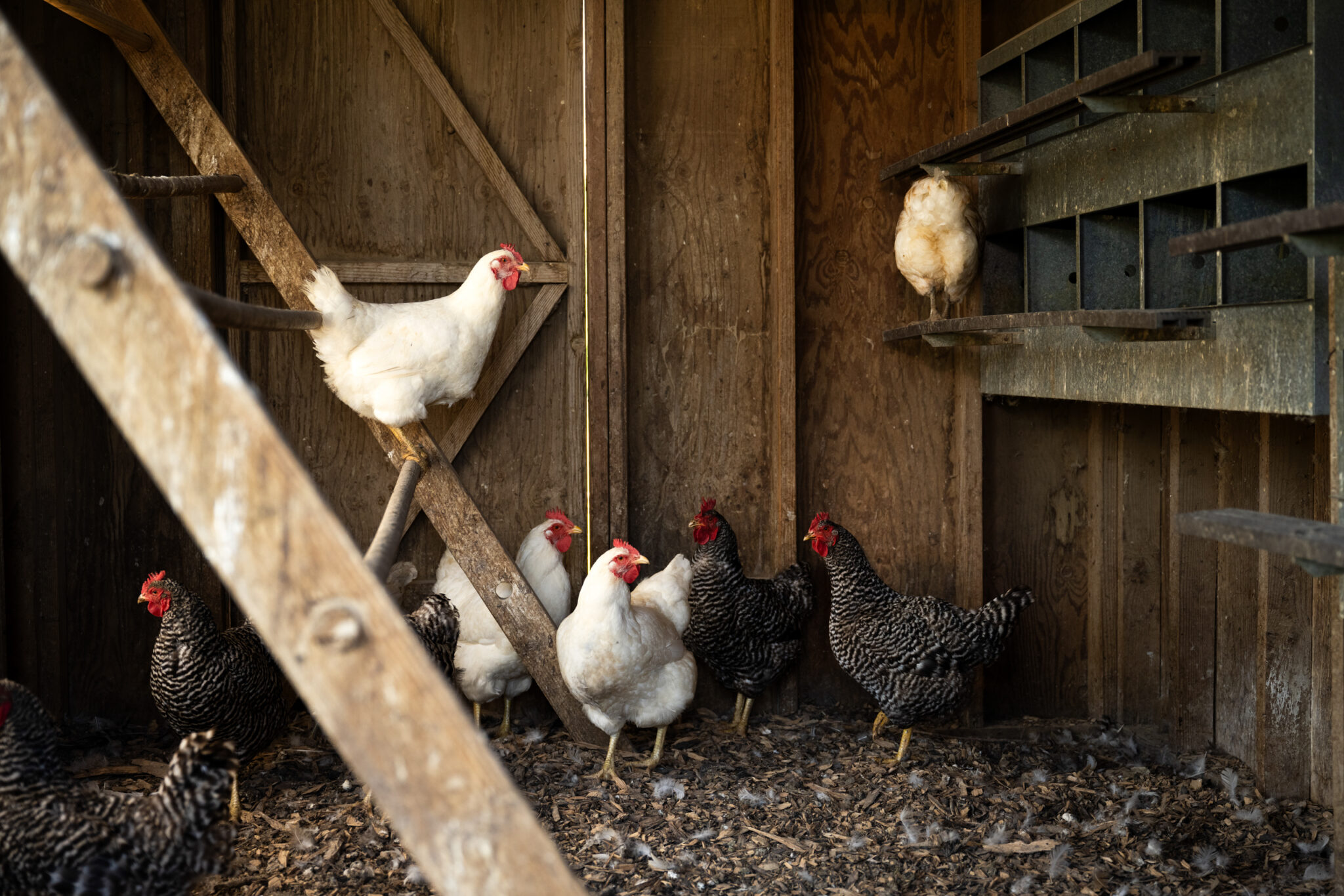 The Farm | Sustainable Farm-to-Table | Pendry Natirar